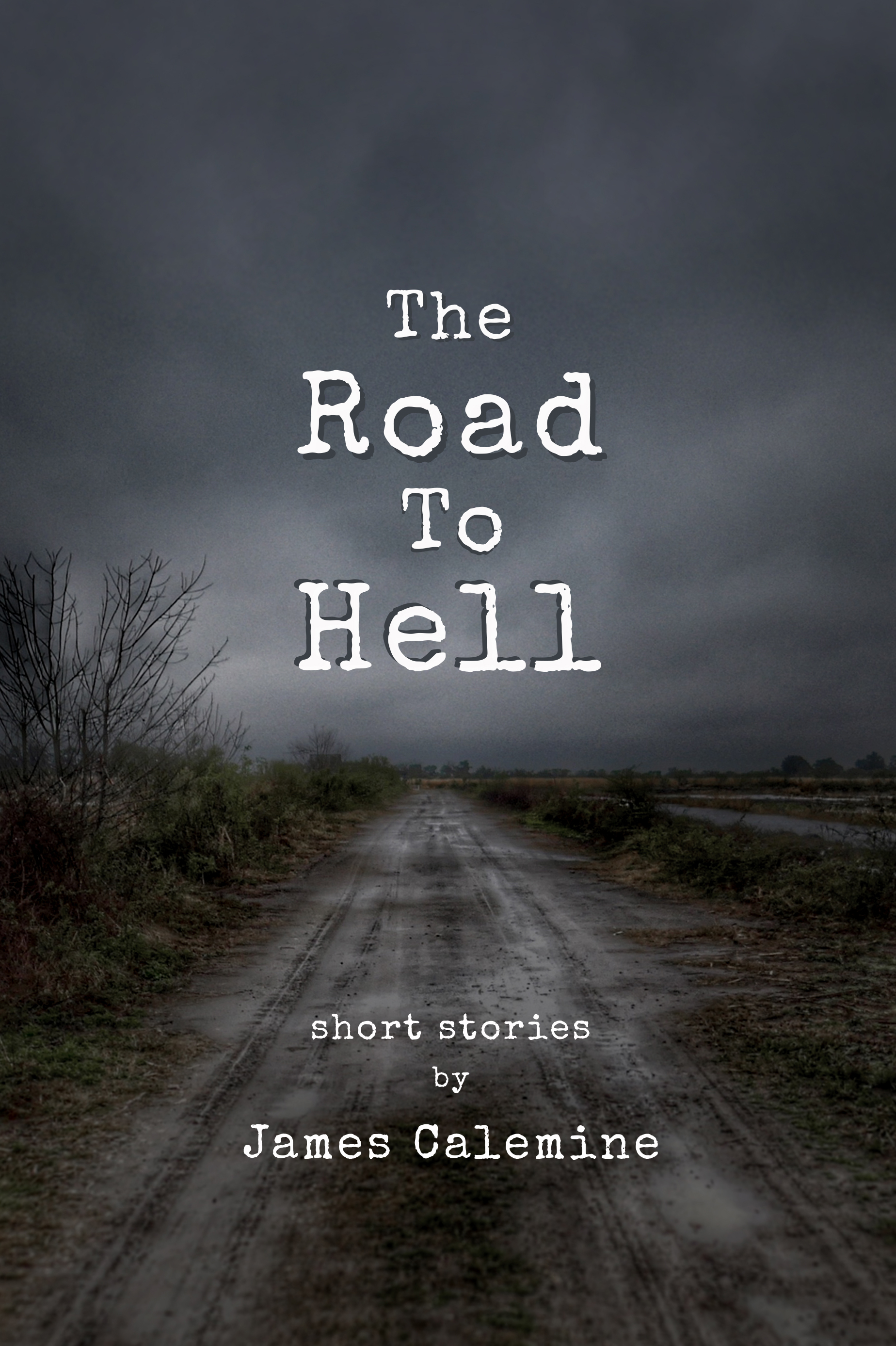 The Road to Hell by James Calemine – Snake Nation Press